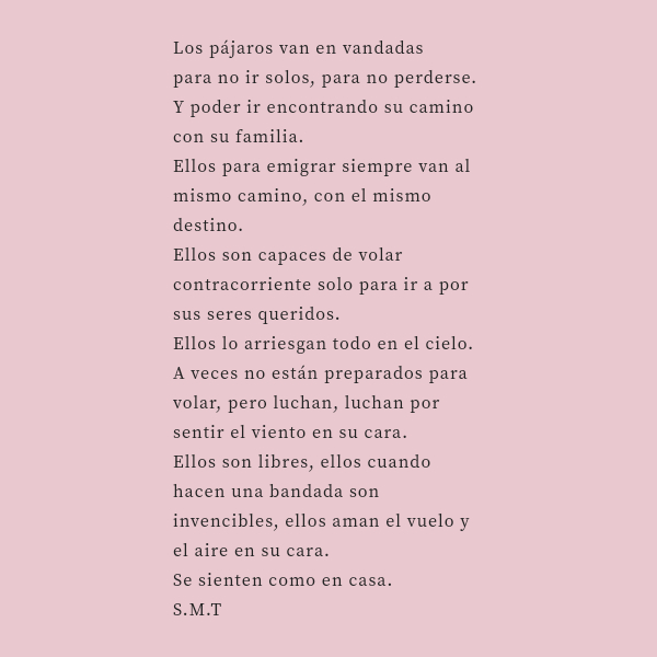 Frase #435604: Los pájaros van en vandadas para no ir solos, para no ...