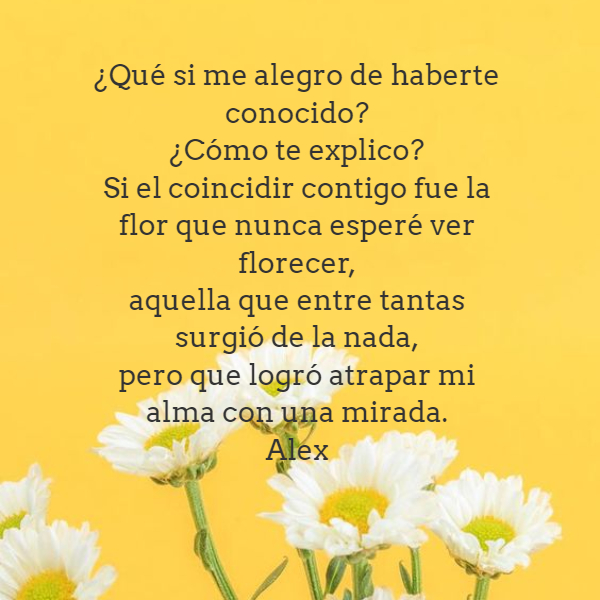 Frase #733583: ¿Qué si me alegro de haberte conocido? ¿Cómo te explico ...