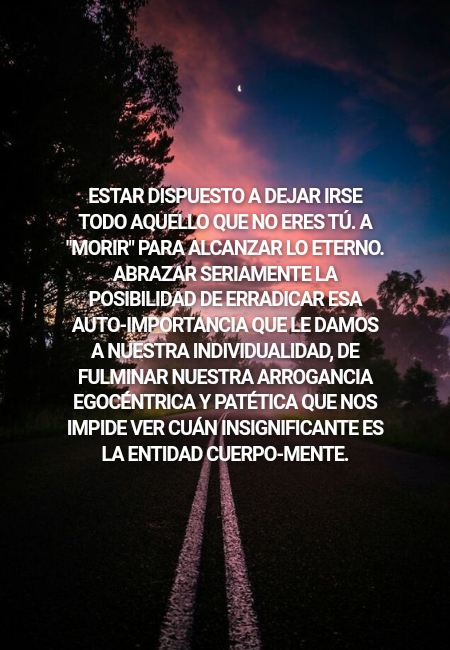 Frase #765758: Estar dispuesto a dejar irse todo aquello que no eres tú ...