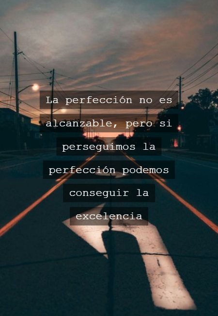 Frase #837908: La perfección no es alcanzable, pero si perseguimos la ...